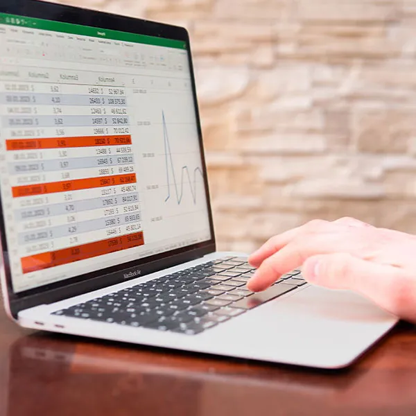 Programa Profesional de Excel | Zegel